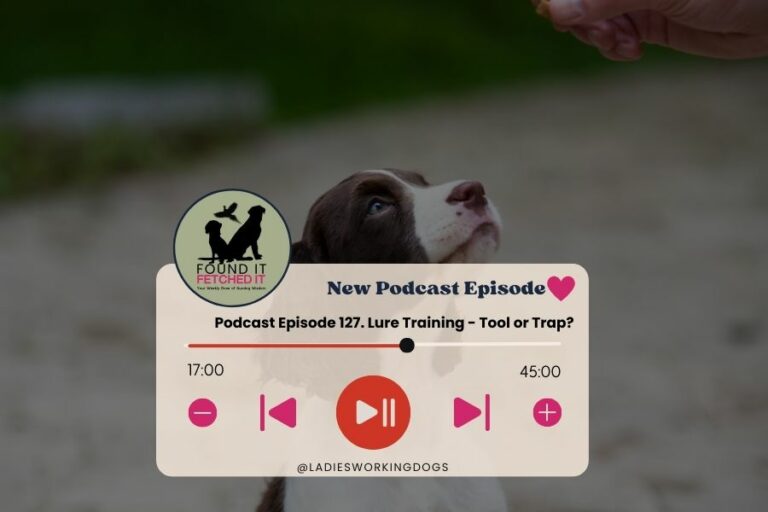 Podcast Episode 127. Lure Training-Tool or Trap? - The Ladies Working ...